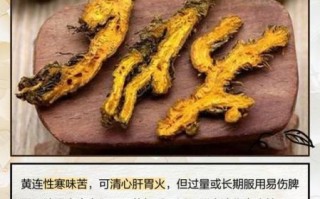 黄连的作用与功效_黄连能治疗哪些疾病