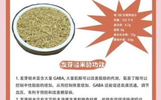 发芽糙米茶的功效与作用_发芽糙米茶能减肥吗