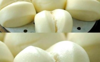 用纯牛奶发面好吗_纯牛奶发面怎么做