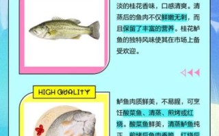 鲈鱼好还是桂鱼好吃_哪个更鲜美