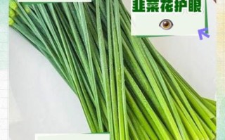 韭菜花什么味道_韭菜花好吃吗