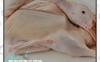 鹅肉哪些人不能吃_痛风患者能吃鹅肉吗