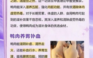 鸭肉性寒还是热_适合哪些人吃