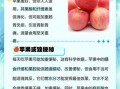 每天吃苹果的好处和坏处_长期吃苹果对身体有什么影响