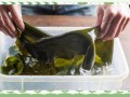 干海带要泡多久_干海带怎么泡发最快