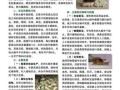 非洲大蜗牛怎么消灭_非洲大蜗牛用什么药最有效