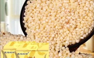 高粱米长什么样_高粱米怎么辨别真假