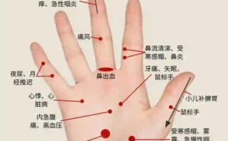 手心上有个通便穴在哪_怎么按摩通便