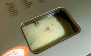 东菱面包机900克面包的做法_一次发酵能成功吗