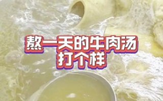 炖牛肉汤的做法最正宗的做法_如何炖出奶白浓汤