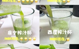 鲜榨果汁杯子怎么选_鲜榨果汁杯子哪种材质好