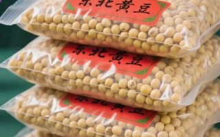 东北大豆价格今日价格_今日东北大豆多少钱一斤