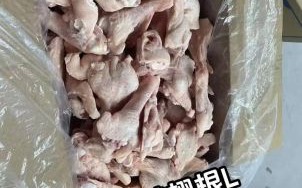 冷冻鸭翅根怎么做好吃_冷冻鸭翅根的做法大全