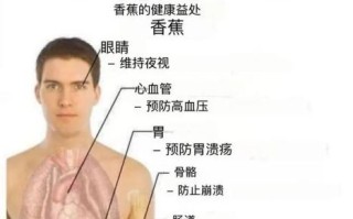 香蕉吃多了有什么副作用_香蕉一天吃几根合适