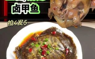 麻辣甲鱼怎么做_麻辣甲鱼做法大全图解