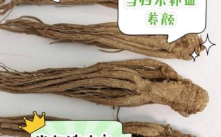 当归的功效与作用及禁忌_孕妇能吃当归吗