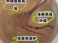 虫草炖燕窝的功效与作用_适合什么人吃