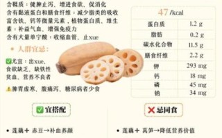 藕的功效与作用有哪些_藕的营养价值高吗