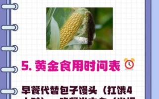 甜玉米糯玉米哪个减肥_哪个热量更低