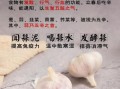 大蒜的功效与作用_大蒜怎么吃最好