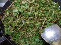 麻子菜怎么做好吃_麻子菜的做法大全