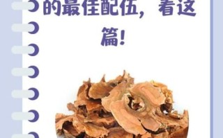 分心木的最佳配伍是什么_分心木和什么搭配最补肾