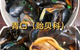 青口贝汤怎么做_青口贝汤最简单的做法