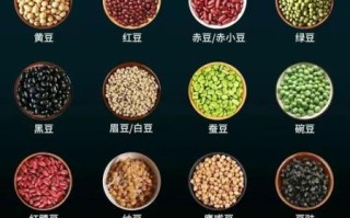 豆类品种大全_哪些豆子适合日常食用