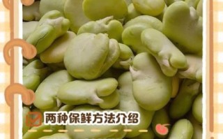 新鲜蚕豆怎么保存_蚕豆怎么做好吃