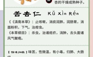 苦杏仁的功效与作用_苦杏仁怎么吃才安全