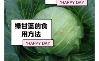 绿甘蓝的营养价值_绿甘蓝的功效与作用