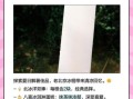 北京老冰棍怎么做_老北京冰棍配方