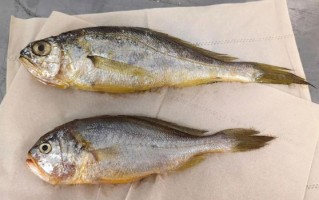 石首鱼是什么鱼_石首鱼有什么营养价值