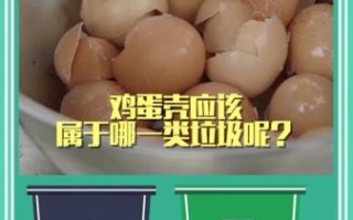 鸡蛋壳属于什么垃圾_鸡蛋壳垃圾分类指南