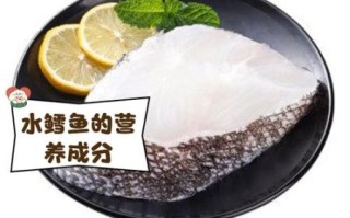 水鳕鱼是什么鱼_水鳕鱼宝宝能吃吗
