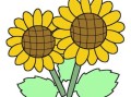 向日葵简笔画怎么画_向日葵图片简笔画教程