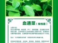 通菜抽筋的原因_如何避免吃通菜后抽筋