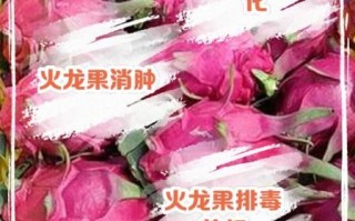 火龙果怎么挑_火龙果热量高吗
