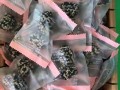 阿胶枣怎么做_阿胶枣的配料有哪些