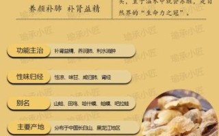 雪蛤是什么东西_雪蛤有什么功效