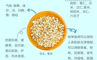 薏米怎么煮才祛湿_薏米的功效与作用