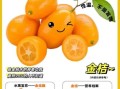 金桔的副作用有哪些_金桔的禁忌人群