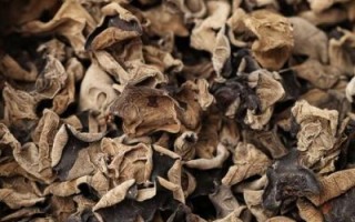 干木耳有保质期吗_干木耳能放多久