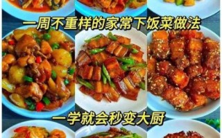 家常营养菜谱怎么做_一周七天不重样的做法