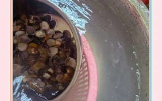 河蚌肉怎么清洗_河蚌肉怎么炒才嫩