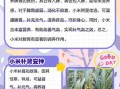 小米的营养价值及功效与作用_小米适合什么人吃