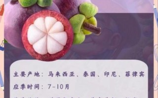 山竹产地在哪里_山竹主要产自哪些国家