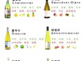 冰白葡萄酒怎么喝_冰白葡萄酒配什么食物