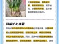 蒜苗的功效与作用禁忌_哪些人不能吃蒜苗
