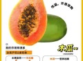 木瓜怎么吃最营养_木瓜的禁忌有哪些